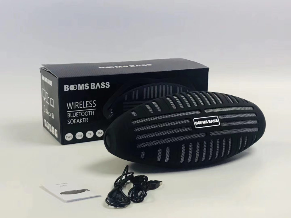 BOOMS BASS L19 Waterproof Wireless Portable Speakers – Visiro Technologies